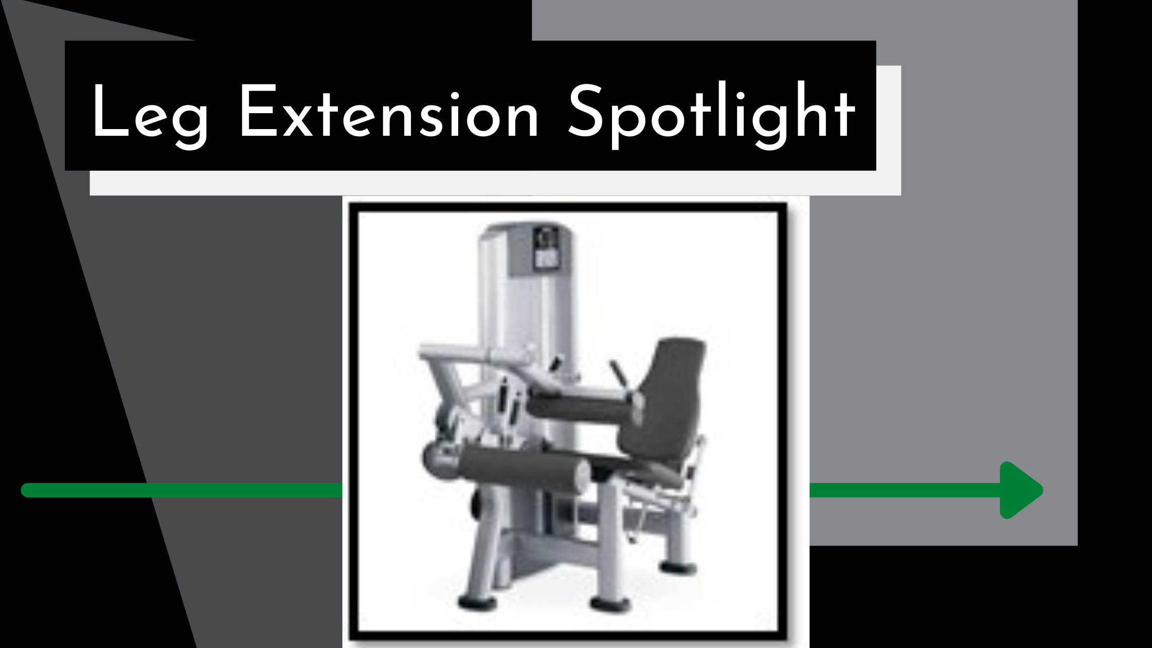 Leg Extension Spotlight - Fred Smith Company Sports Club