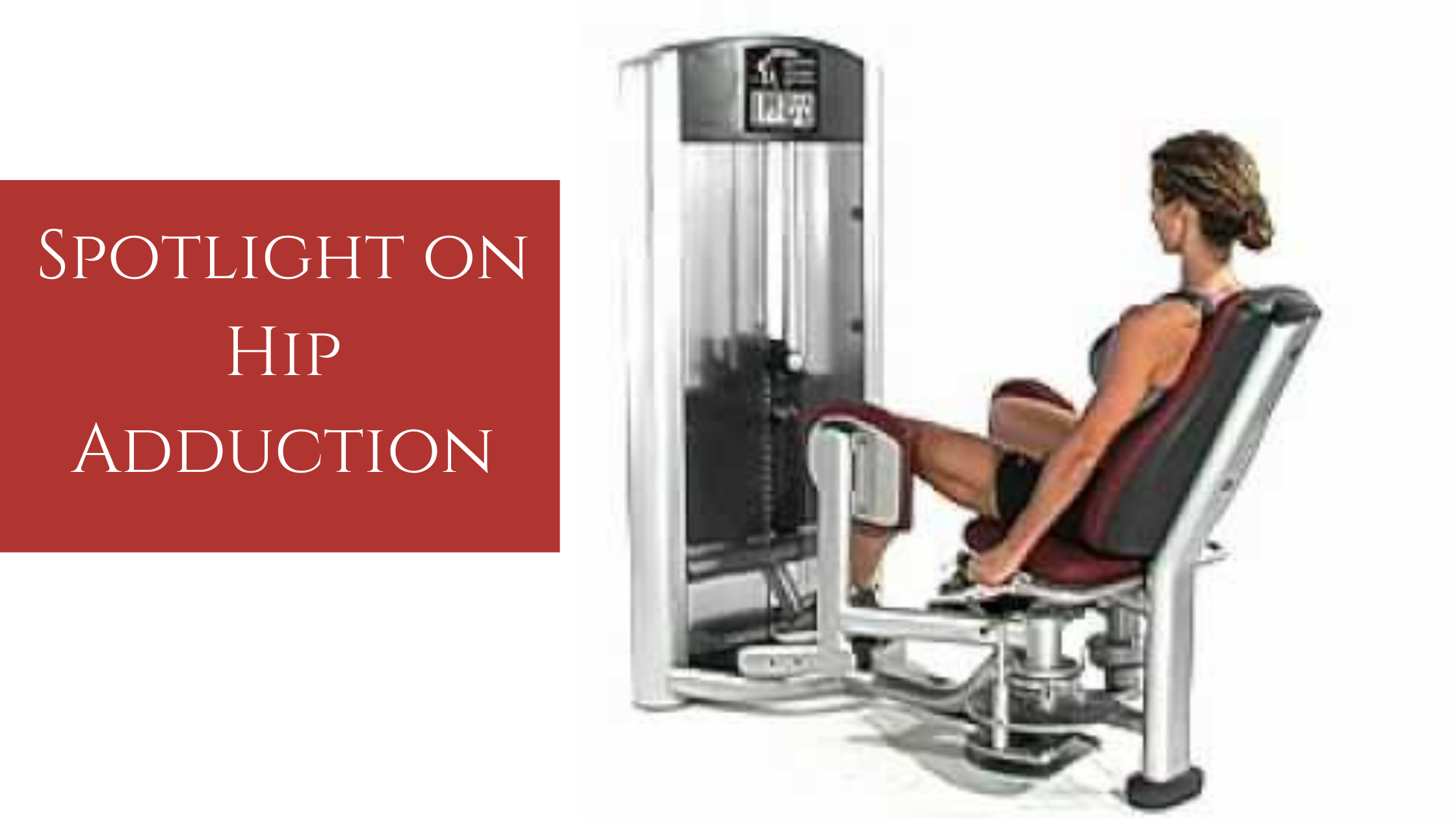 Spotlight on Hip Adduction - Fred Smith Company Sports Club