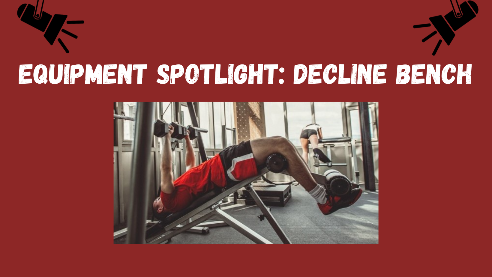 Equipment Spotlight: Decline Bench - Fred Smith Company Sports Club